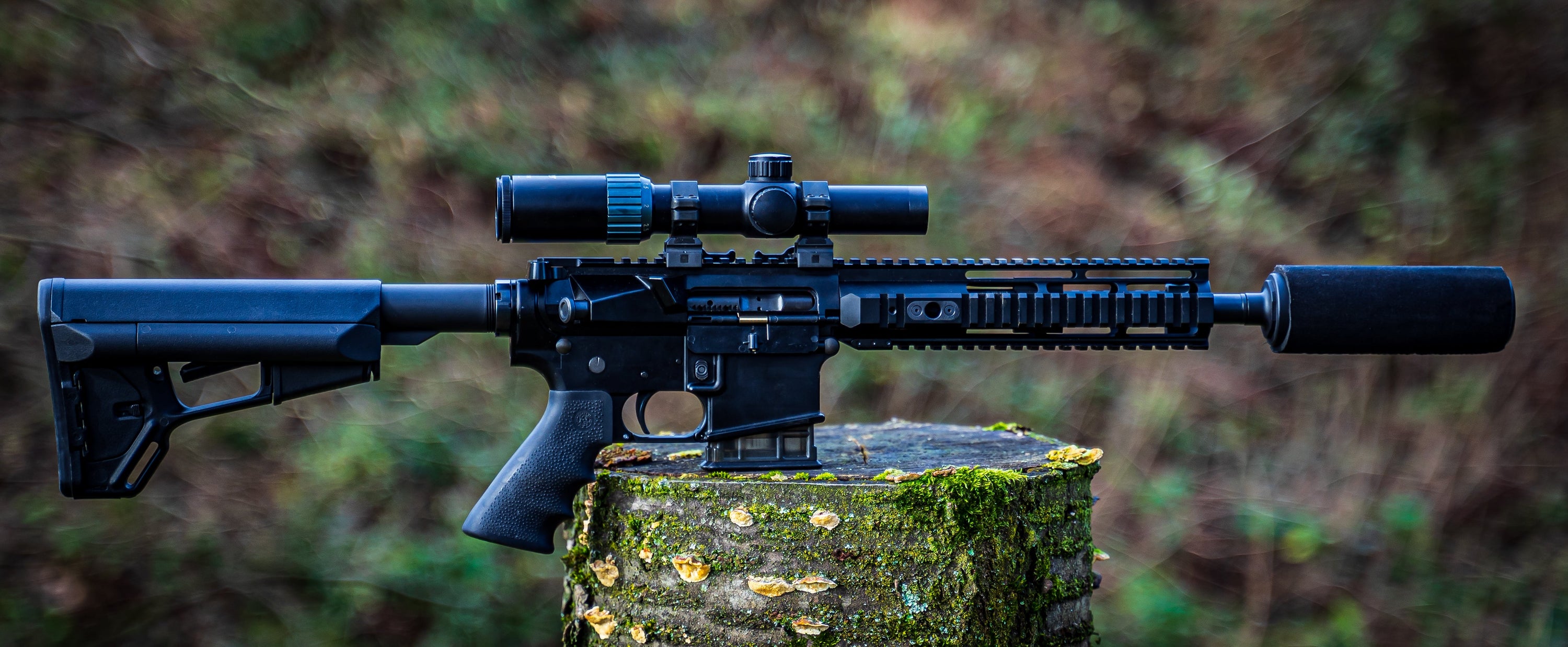 Top AR-15 Optics for Every Shooter: From Red Dots and Magnifiers to ...
